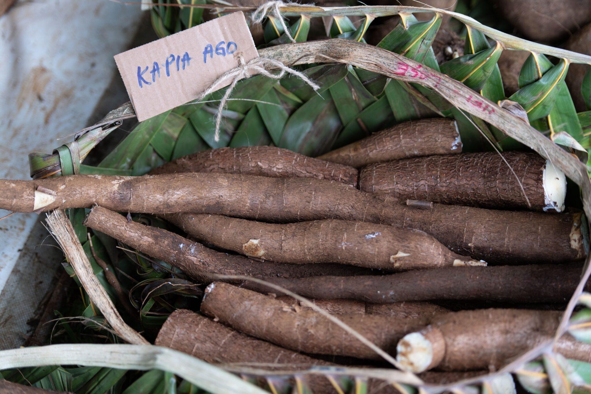 Processed and Local Kokonte in Accordance to Glycemic Index - DREAMS ...